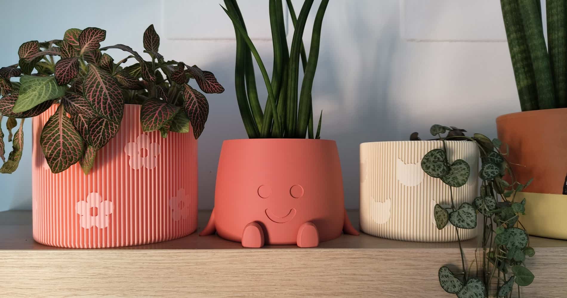 Tienda de Macetas Online | macetitas