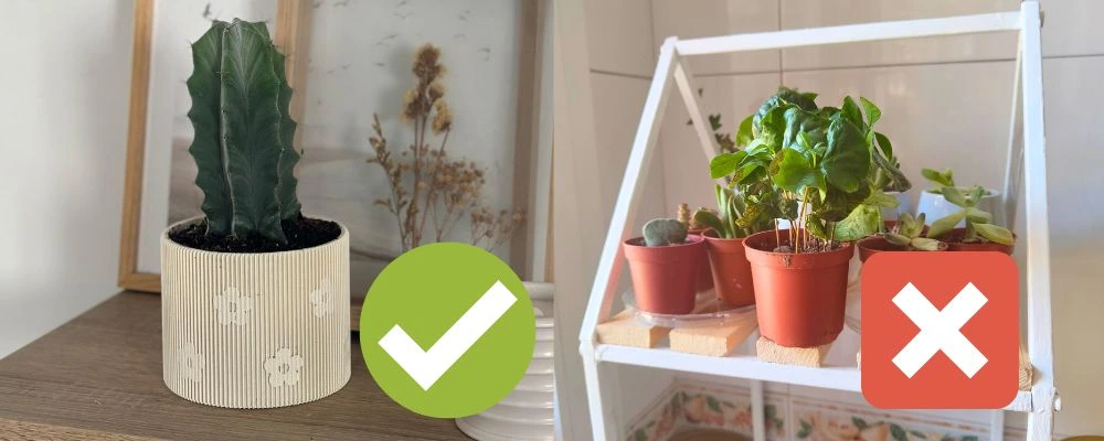 Macetas de plástico: ¿existen alternativas sostenibles? | macetitas