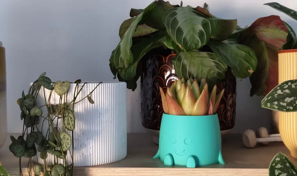 La historia de las macetas a lo largo del tiempo | macetitas