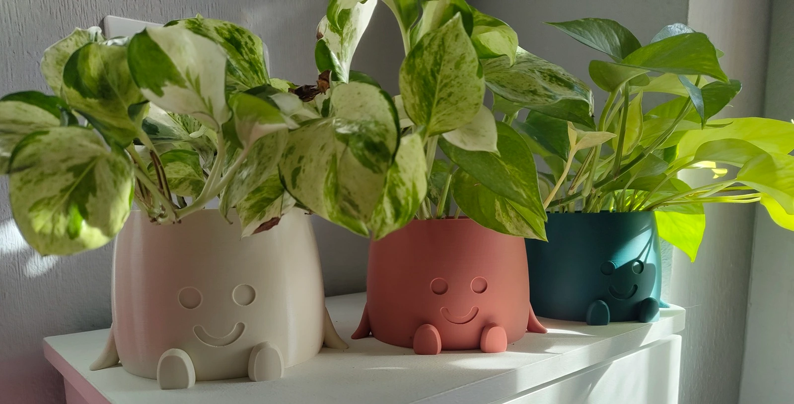 5 plantas de interior ideales para renovar tu casa esta primavera | macetitas